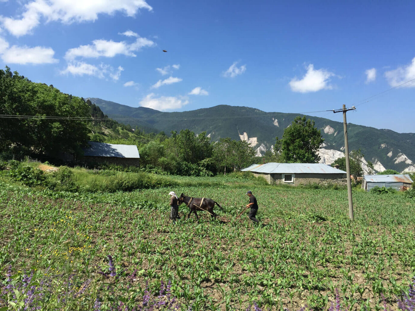 De Korab, de hoogste berg van Albanie | Travelling Albania