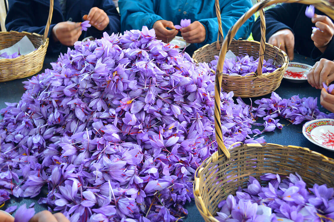 Uitrusten op het Albanese platteland | Travelling Albania